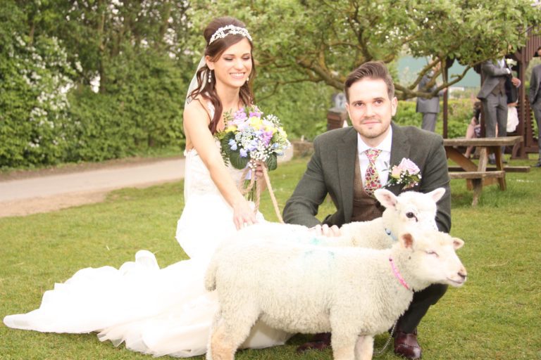 Bride & Groom with Sheep