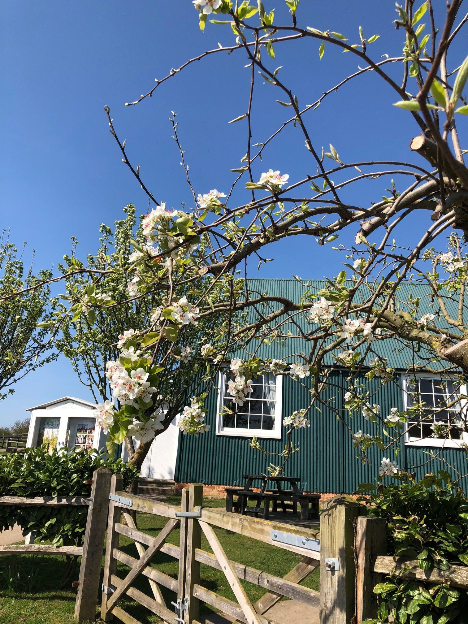 Visit Kent Life to boost your mental health and rediscover Your Zen ...