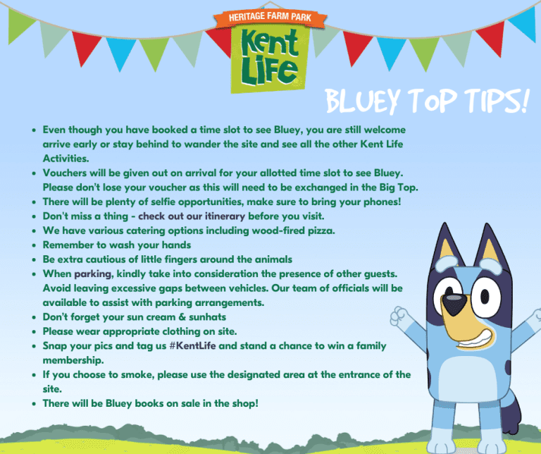 Bluey TOP TIPS! (Facebook Post)